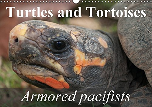 Buy Turtles and Tortoises - Armored Pacifists 2018: Oldest and Most ...