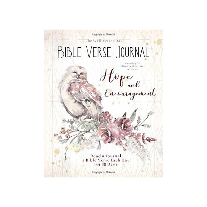 Buy Bible Verse Journal - Hope and Encouragement: Read and Journal a ...
