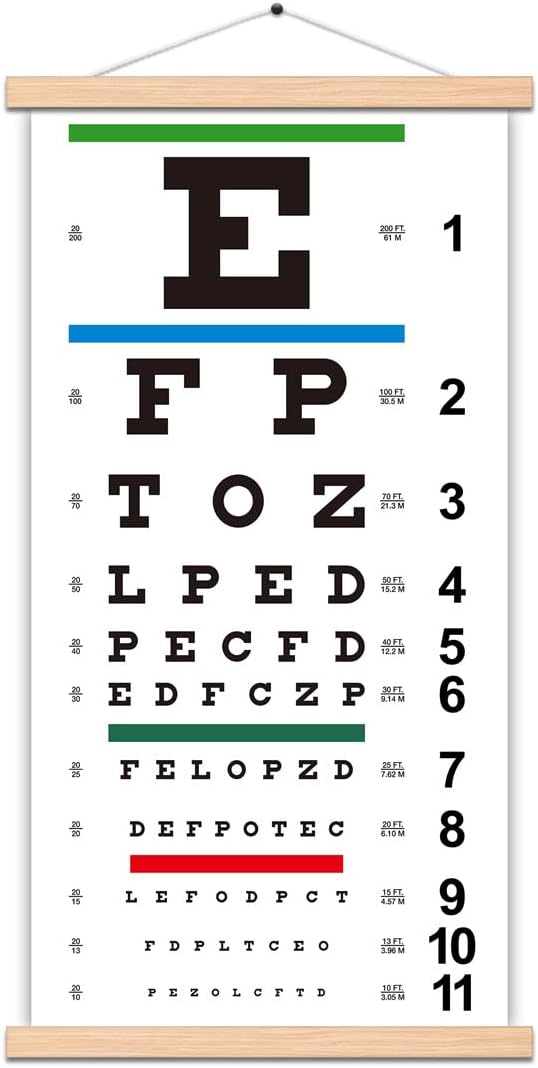 Amazon.com: Eye Chart Canvas Non-Reflective Snellen Low Vision Eye ...