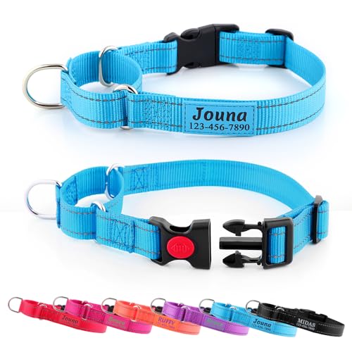 Quick Release Dog Collar – The 15 best products compared - Wild Explained
