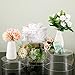 Amazon.com: Weysat Acrylic Round Risers Display Shelf Cylinder Nesting ...