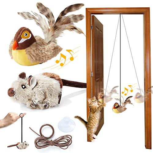 Bird Cat Toy – The 15 best products compared - Wild Explained