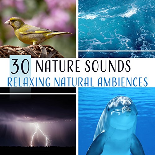 Play 30 Nature Sounds – Pure Relaxing Natural Ambiences, Effects of ...