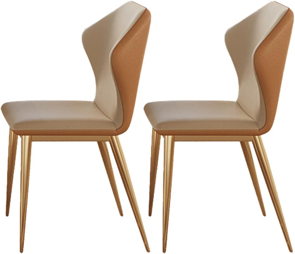 Amazon.com - LITFAD Modern 2 Pieces Dining Chairs Metal Legs Dining ...