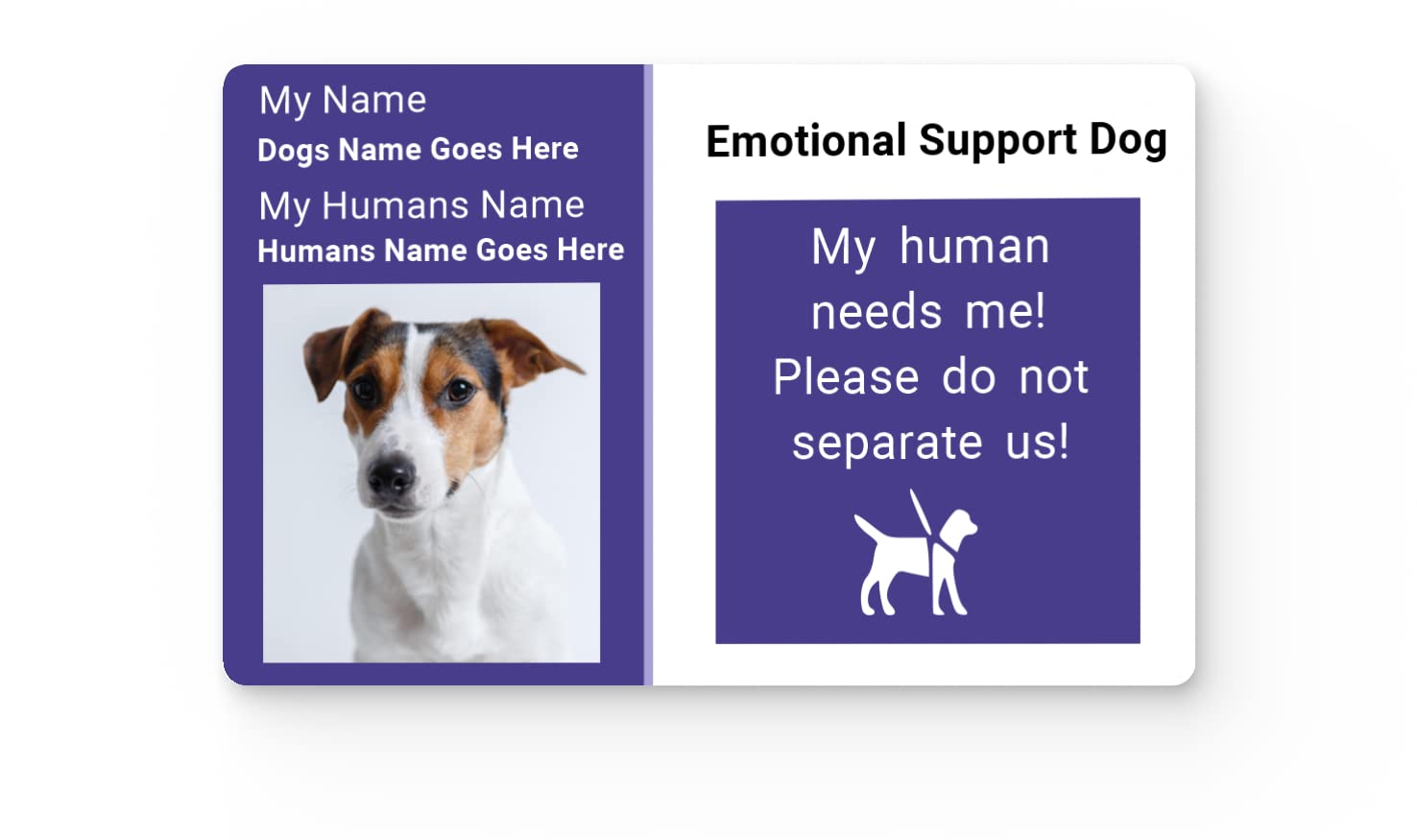 Emotional Support Dog Photo Card, Service Dog ID, Please Don't Pet Me I ...