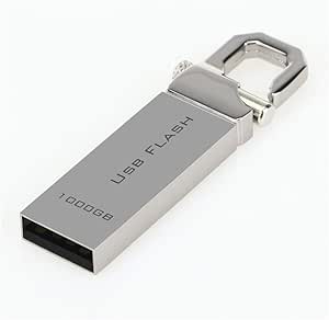 Amazon.com: USB 2.0 Flash Drive 1000GB Metal Design with Keychain ...