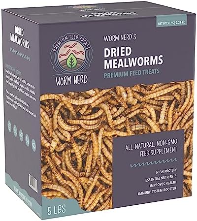 Amazon.com: Worm Nerd WN60 5LB Dried Mealworms Non-GMO High Protein and ...
