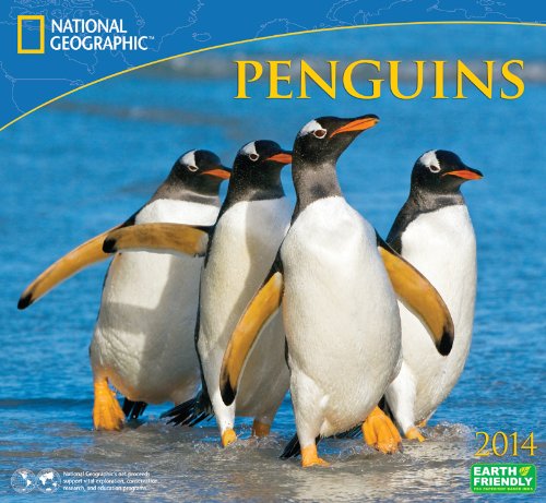 National Geographic Penguins 2014 Calendar: Zebra Publishing Corp ...