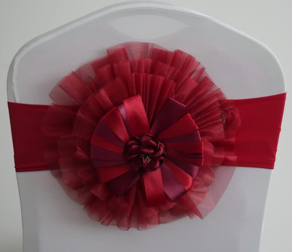 Amazon.com: RS Enjoy Life 6 Pack Handmade Wedding Chair Back Decor ...