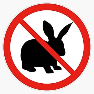Amazon.com: Prohibited Sign Not Allowed No Bunnies Rabbit Window Bumper ...
