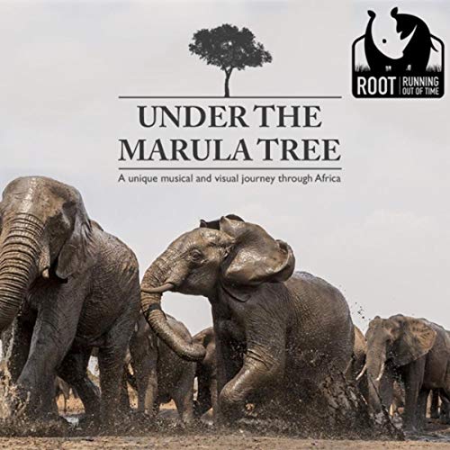 Amazon.com: Under the Marula Tree : Root: Digital Music