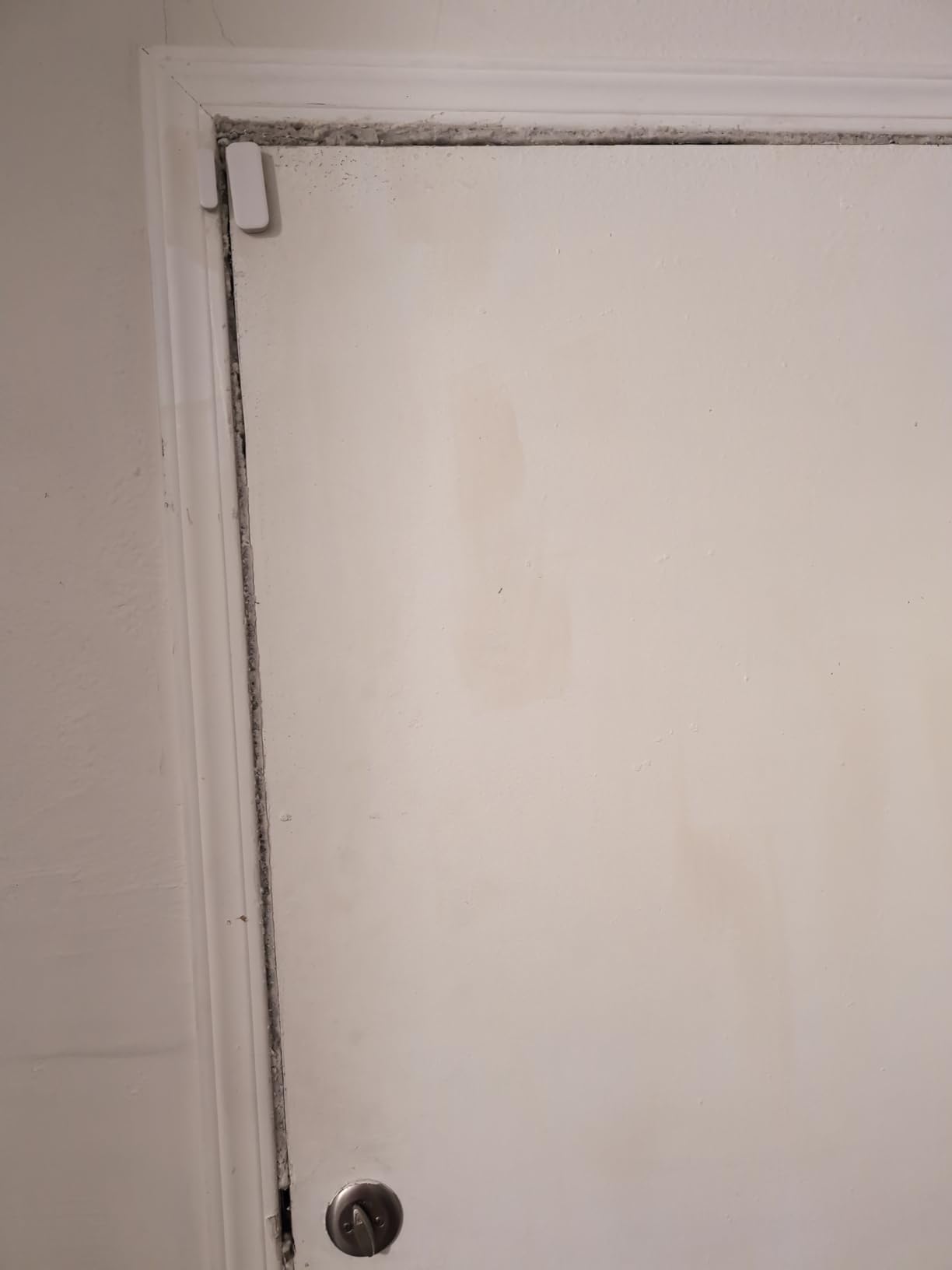 $2/mo - Finance Akfix 805 Spray Foam Insulation Can - Waterproof ...