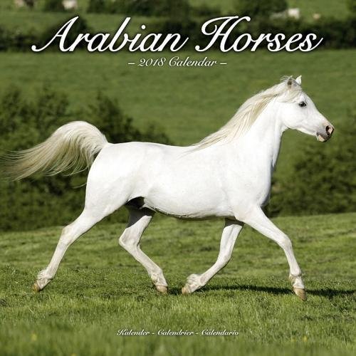Arabian Horse Calendar - Calendars 2017 - 2018 Wall Calendars - Only ...