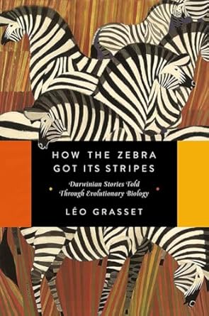 How the Zebra Got Its Stripes: Grasset, Léo: 9781681774145: Amazon.com ...
