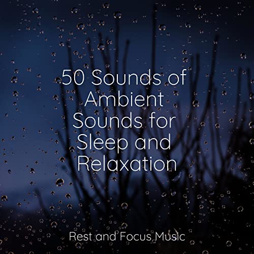 Amazon.com: 50 Sounds of Ambient Sounds for Sleep and Relaxation : Pro Sound Effects Library ...