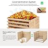Amazon.com : VIVOSUN Wooden Compost Bin, Removable Front Door, Easy to ...