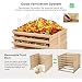 Amazon.com : VIVOSUN Wooden Compost Bin, Removable Front Door, Easy to ...