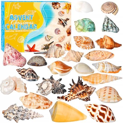 Advent Calendar 2025 Seashells for Kids - 24 Days of Christmas ...