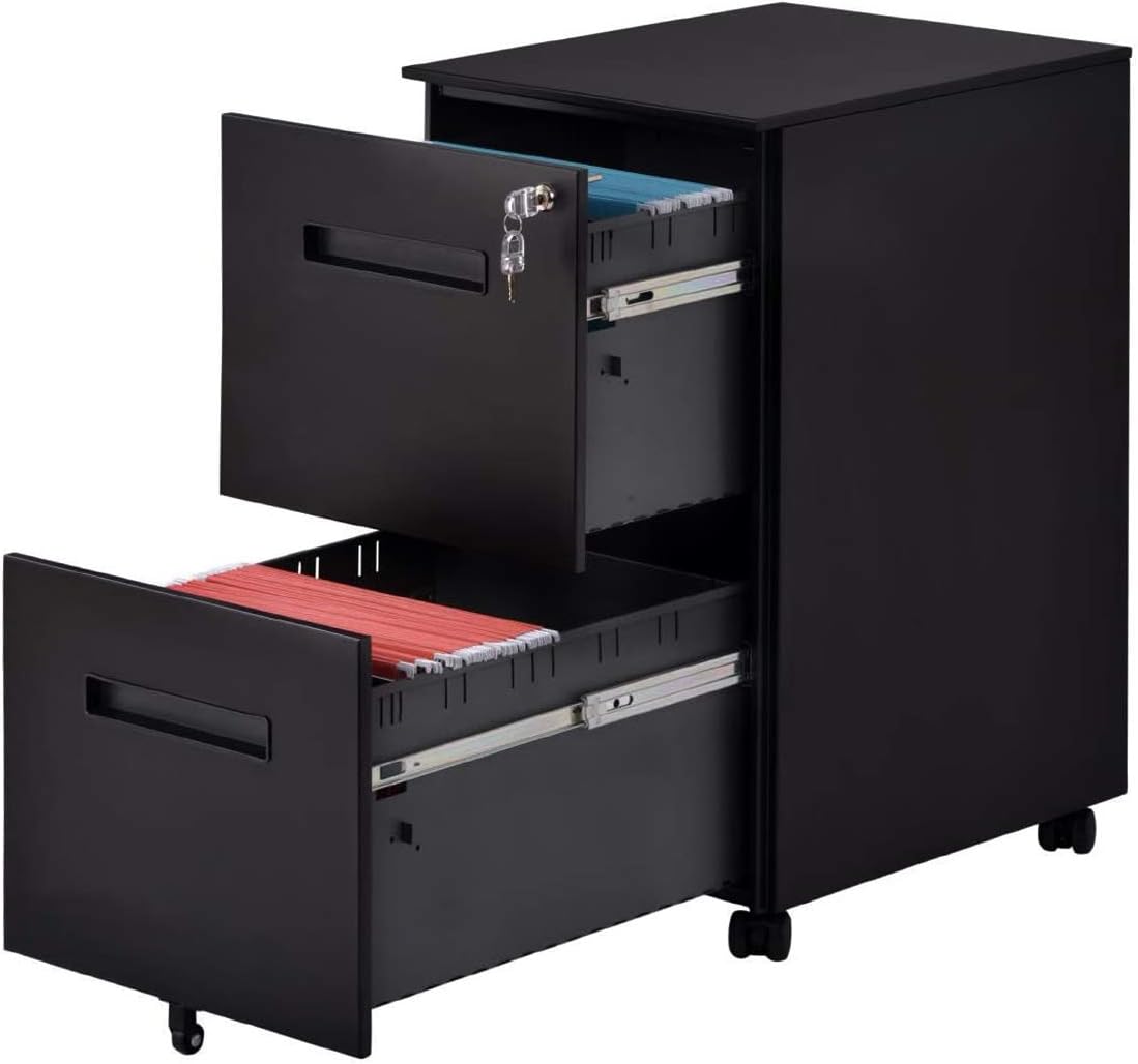 Amazon.com: HUAYICUN Home Office Lateral File Cabinet with Two Drawers ...
