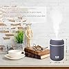 Amazon.com: Mini Humidifier,300ml Small Cool Mist Humidifier with 7 ...