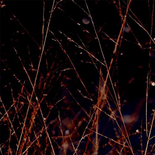 Granulator Slices by Alice Wyan on Amazon Music - Amazon.com