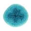 Scheepjes - Scheepjes Whirl 759 Jumpin Jelly Yarn - 1x1000m : Amazon.co ...
