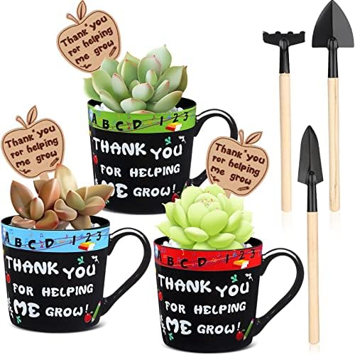 Amazon.com: 6 Pcs Teacher Appreciation Gifts Succulent Pots Mini ...