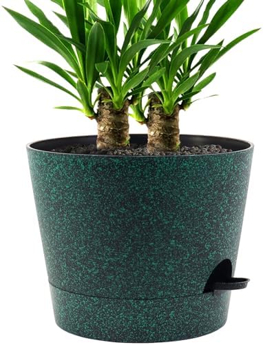 Amazon.com : HBServices USA Large 10" Self-Watering + Self Aerating ...