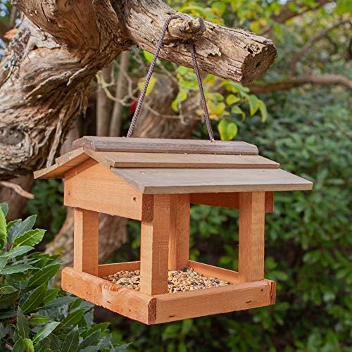 Kingfisher BF009HD Deluxe Bird Table : Amazon.co.uk: Garden