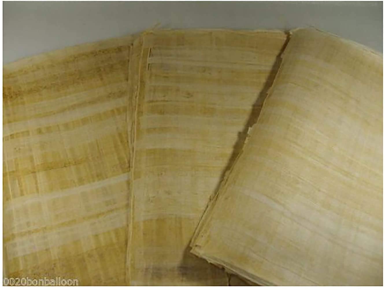 Buy Set 30 Egyptian Blank Papyrus Paper 12" X 8" (30 x 20 cm) Ancient ...