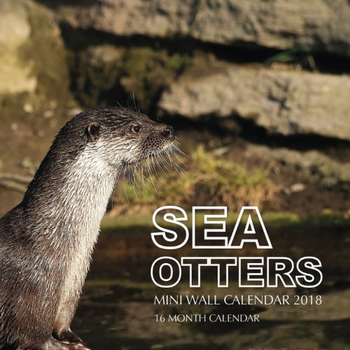 Sea Otters Mini Wall Calendar 2018: 16 Month Calendar: Jenson, Paul ...