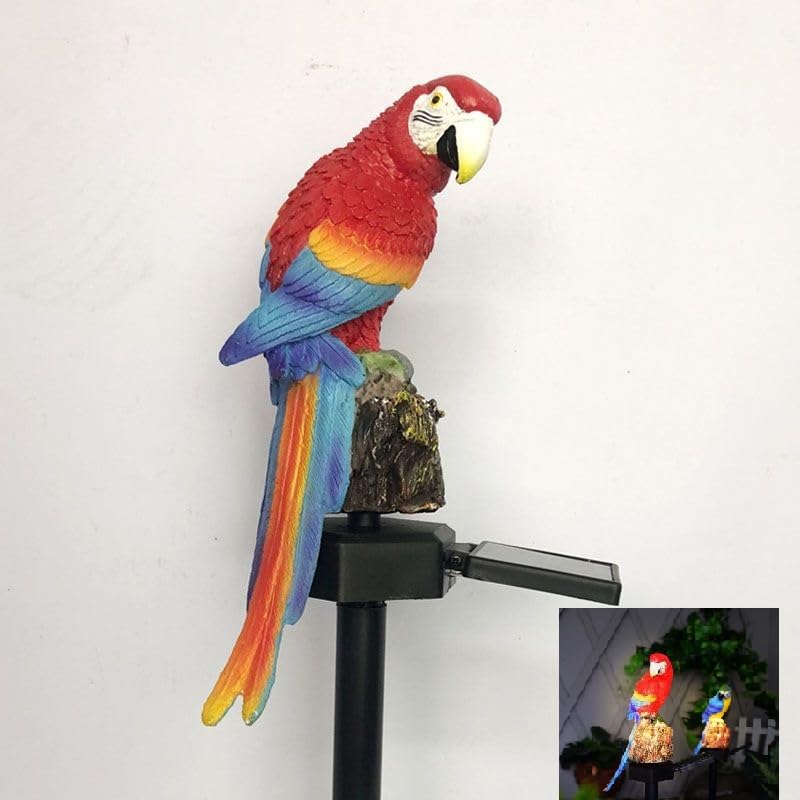 Amazon.com: Solar Parrot Statues Outdoor Garden Stakes Lighting for ...