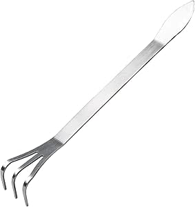 Amazon.com : Mini Rake Garden Rake for Leaves Rake for Gardening 9 Inch ...