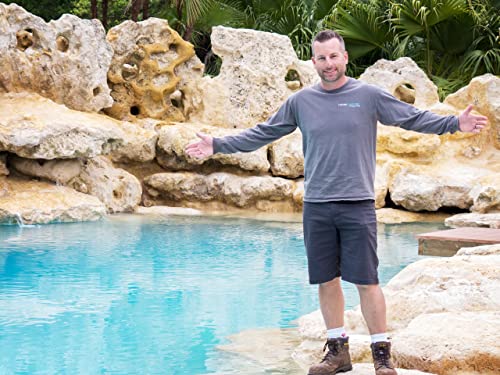 Pool Einsatz – Die 15 besten Produkte im Vergleich - HundeINFOPortal