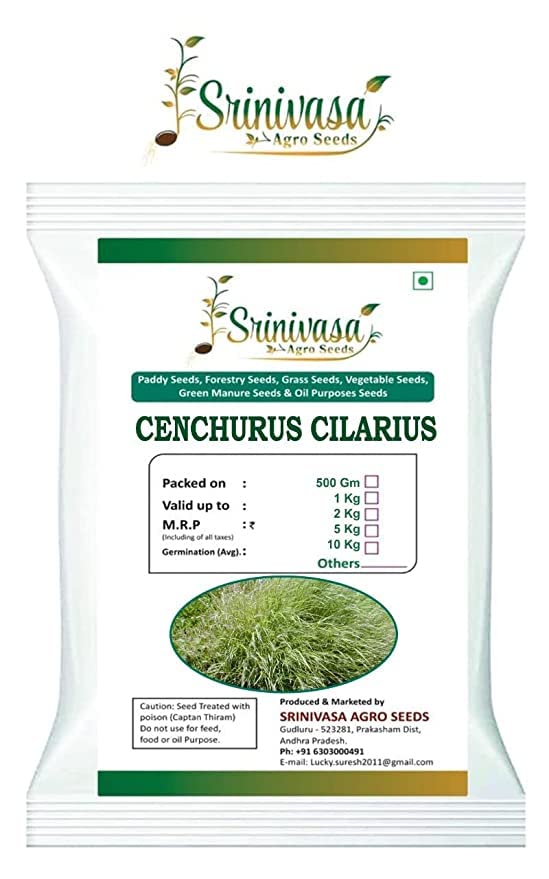 Buy Seeds Cenchrus Ciliaris, 2 kg Online at Low Prices in India - Amazon.in