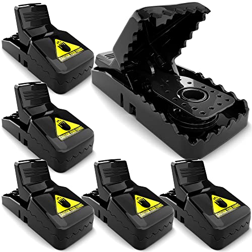 13 Best Mouse Traps in 2023 - Budget Friendly Mice Trap