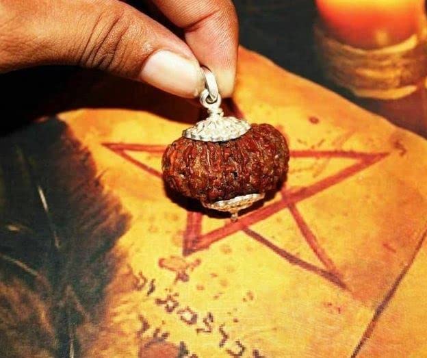 All Stone 21 Mukhi Rudraksha Original Certified Nepali Ikkis Mukhi ...