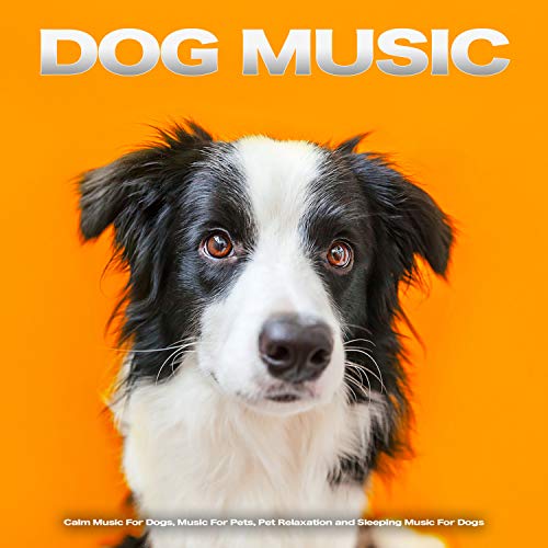 Play Dog Music: Calm Music For Dogs, Music For Pets, Pet Relaxation and ...