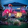 AWENDIETOU Garden Solar Lights,Pink Flamingos for Yard Art Decor,Solar ...