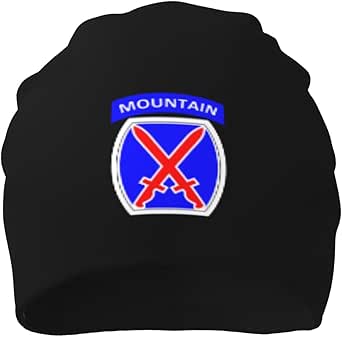 Amazon.com: Shoulder Sleeve Insignia of The 10Th Mountain Division ...