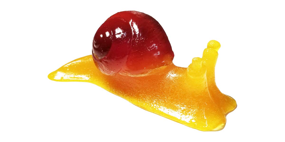 Amazon.com : The Gummy Bear Guy (TM) | Gummy Snail (TM) : Grocery ...