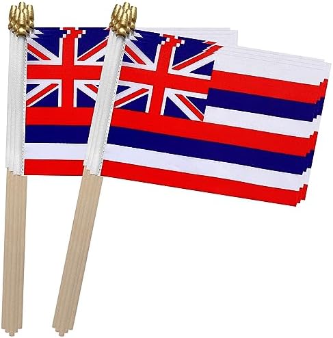 Amazon.com : TSMD Nevada NV State Flag on Wood Stick Small Mini Hand ...