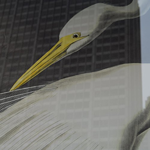 Amazon MusicでMichael ShimkusのGitam's Roman Ragaを再生する