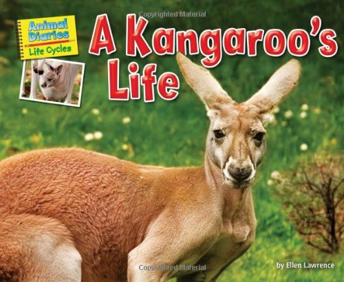 A Kangaroo's Life (Science Slam: Animal Diaries: Life Cycles): Lawrence ...