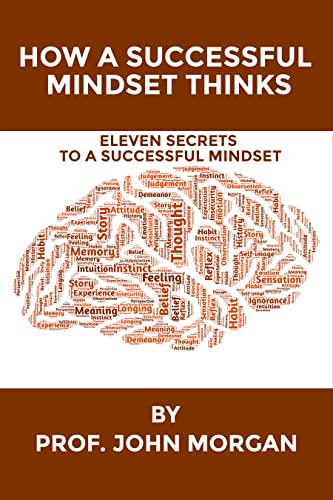 HOW A SUCCESSFUL MINDSET THINKS: ELEVEN SECRETS TO A SUCCESSFUL MINDSET ...