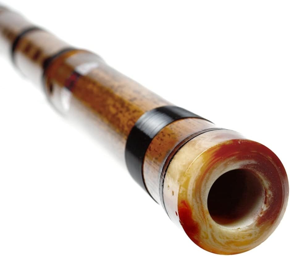 DSHGDJF G Key Chinese Flute Xiao Woodwind Vertical Traditional Musical ...