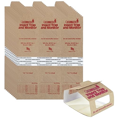 5 Best Spider Traps in 2023 [Detailed Reviews]