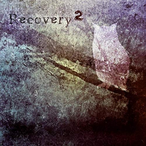 Amazon Music - VARIOUS ARTISTSのRecovery 2 - Amazon.co.jp