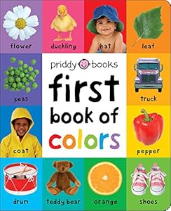 9780312528799: First 100 Padded: First Book of Colors: An essential ...
