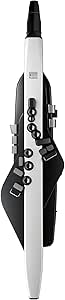 Roland AE-20 Aerophone Digital Wind Instrument with 250+ Sounds